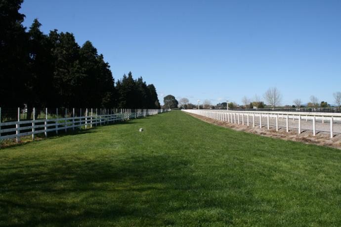 Gallery | Racehorse Training Facilities | Harness Racing & Training Waikato